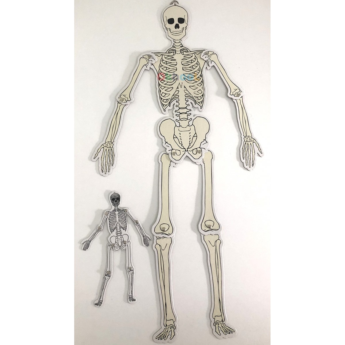 İskelet Sistemi Keçe Pano